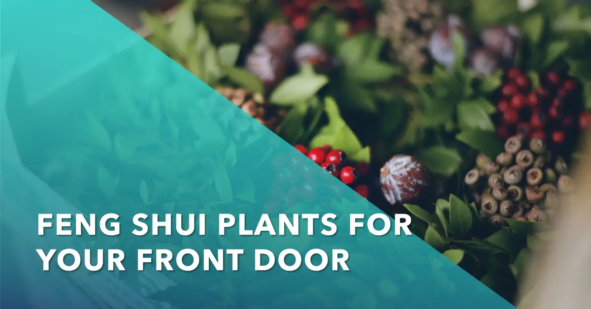 19 Feng Shui Plants For Front Door [Health, Wealth & Luck] - Crystal With